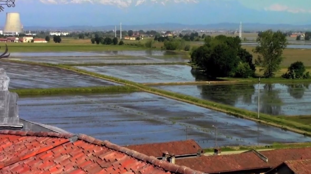 Alla scoperta del Piemonte del riso e delle grandi risaie