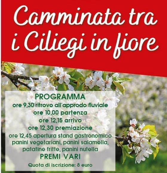 Domenica 6 aprile a Rivarone si cammina tra i Ciliegi in Fiore