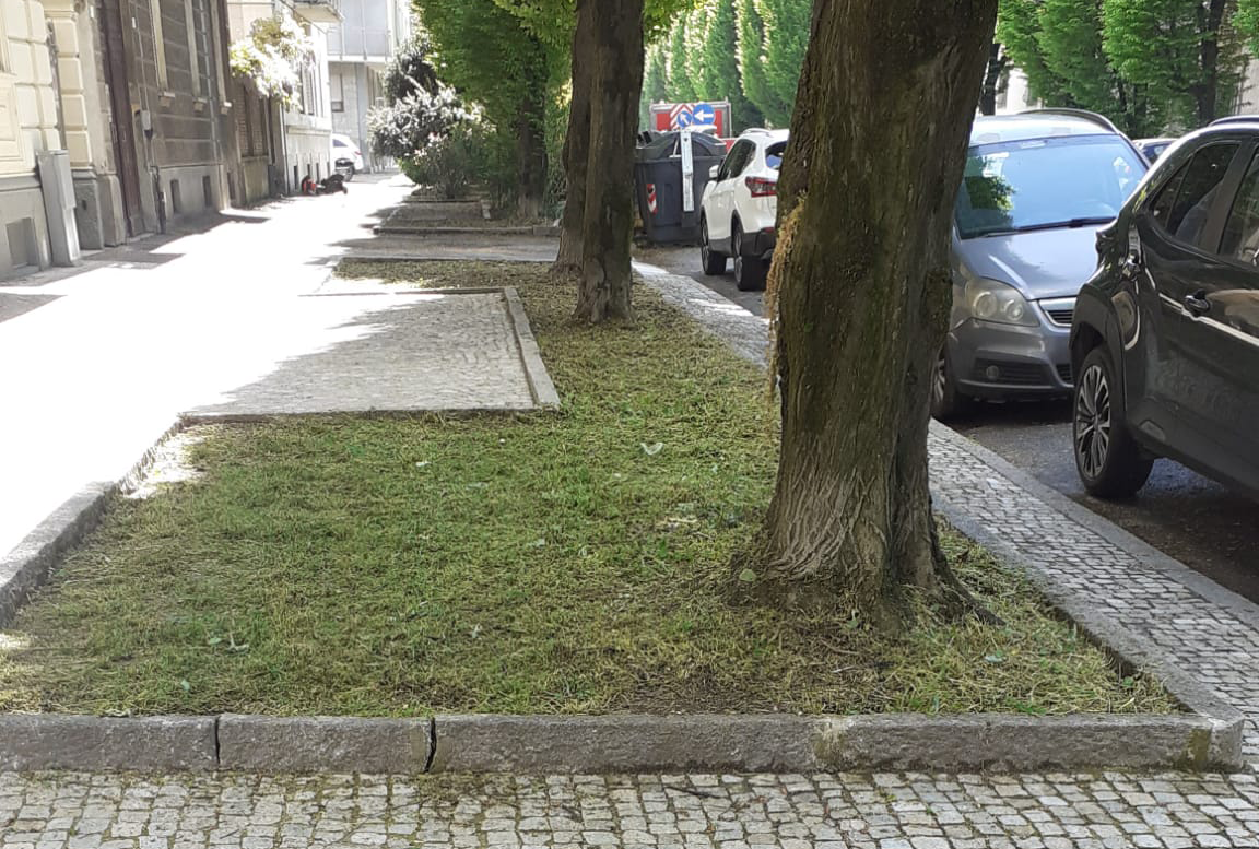 Pulite e tagliate le aiuole in viale delle Medaglie d'Oro dopo l ...