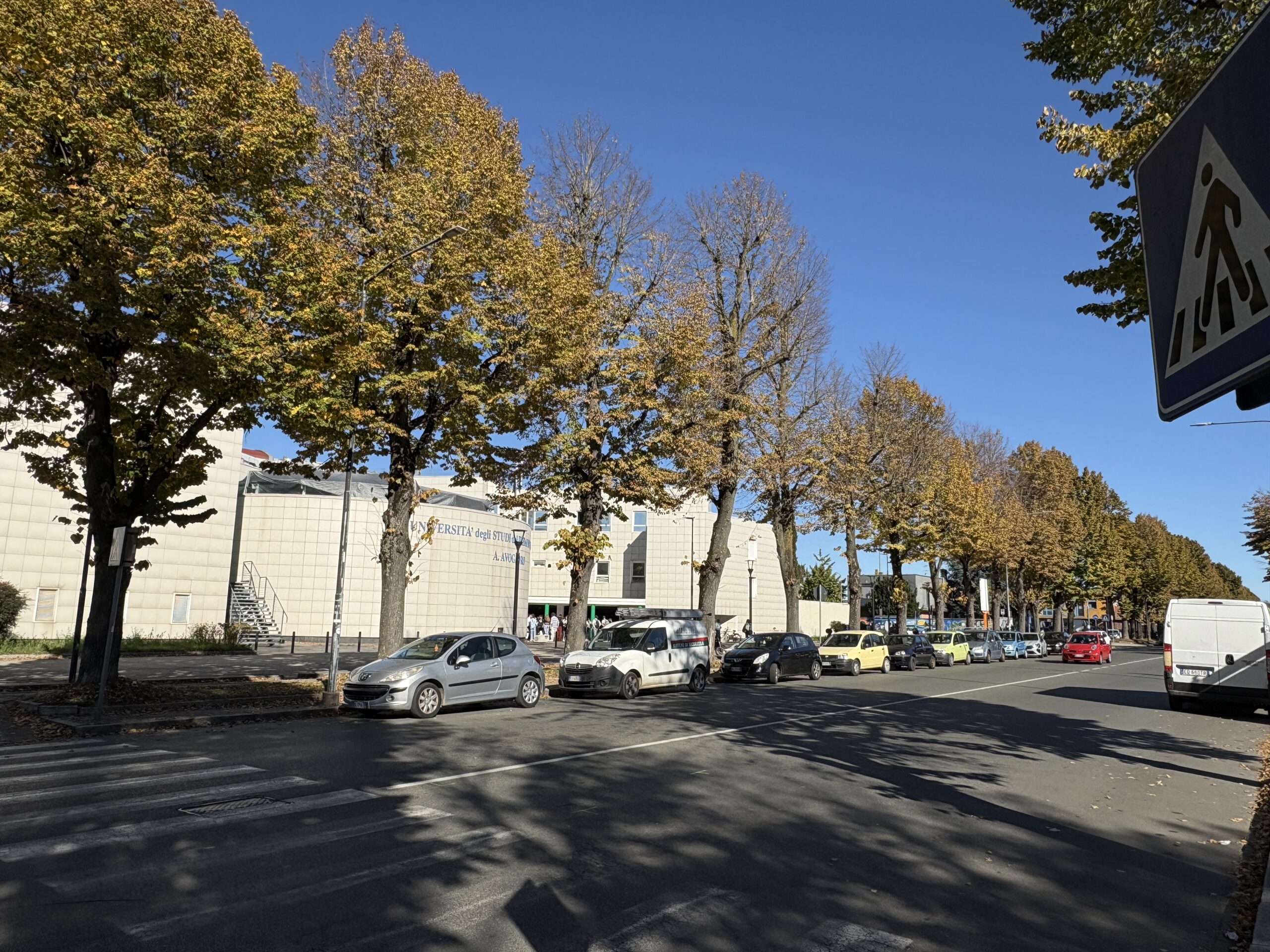 Ennesimo pedone investito in viale Michel ad Alessandria: rimedi