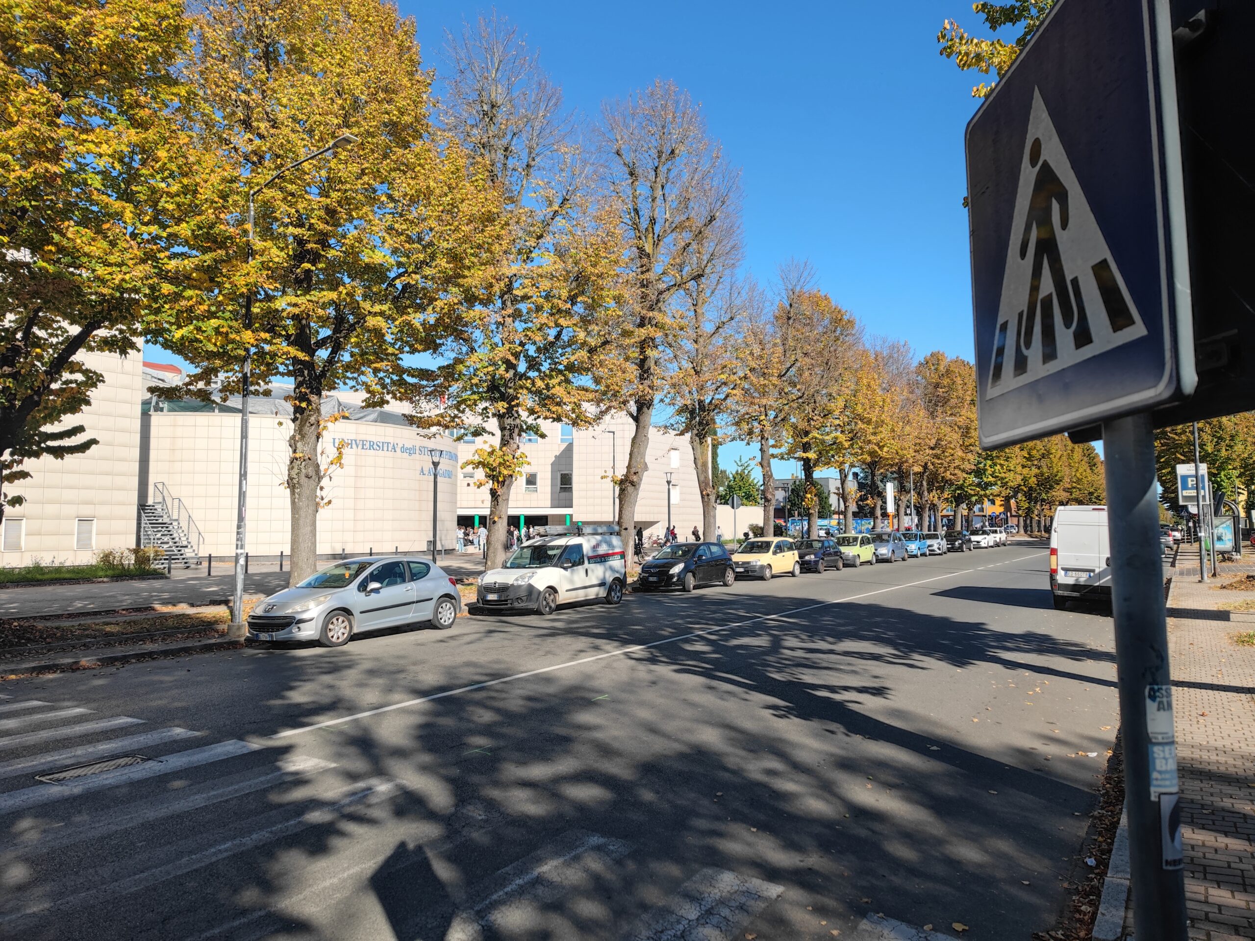 Incidenti in viale Michel ad Alessandria: cosa si farà per evitarli