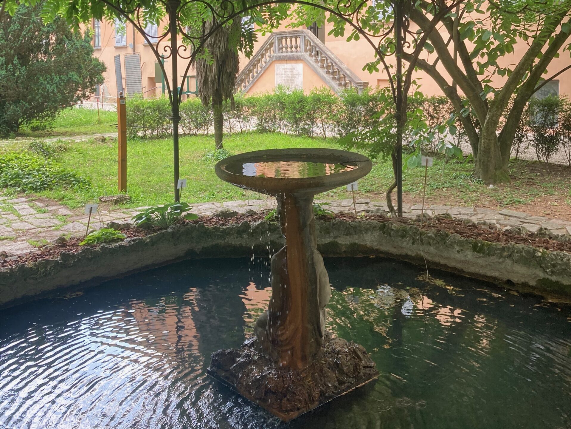 La festa degli orti botanici per trovare fresco e bellezza, anche a Pavia
